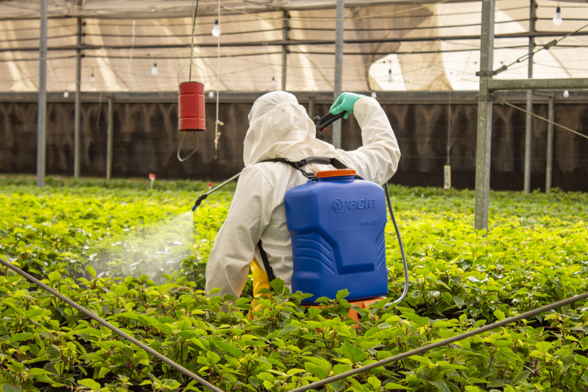 16L Jacto DJB-16 Lithium Ion Backpack Sprayer | Rapid Spray AU